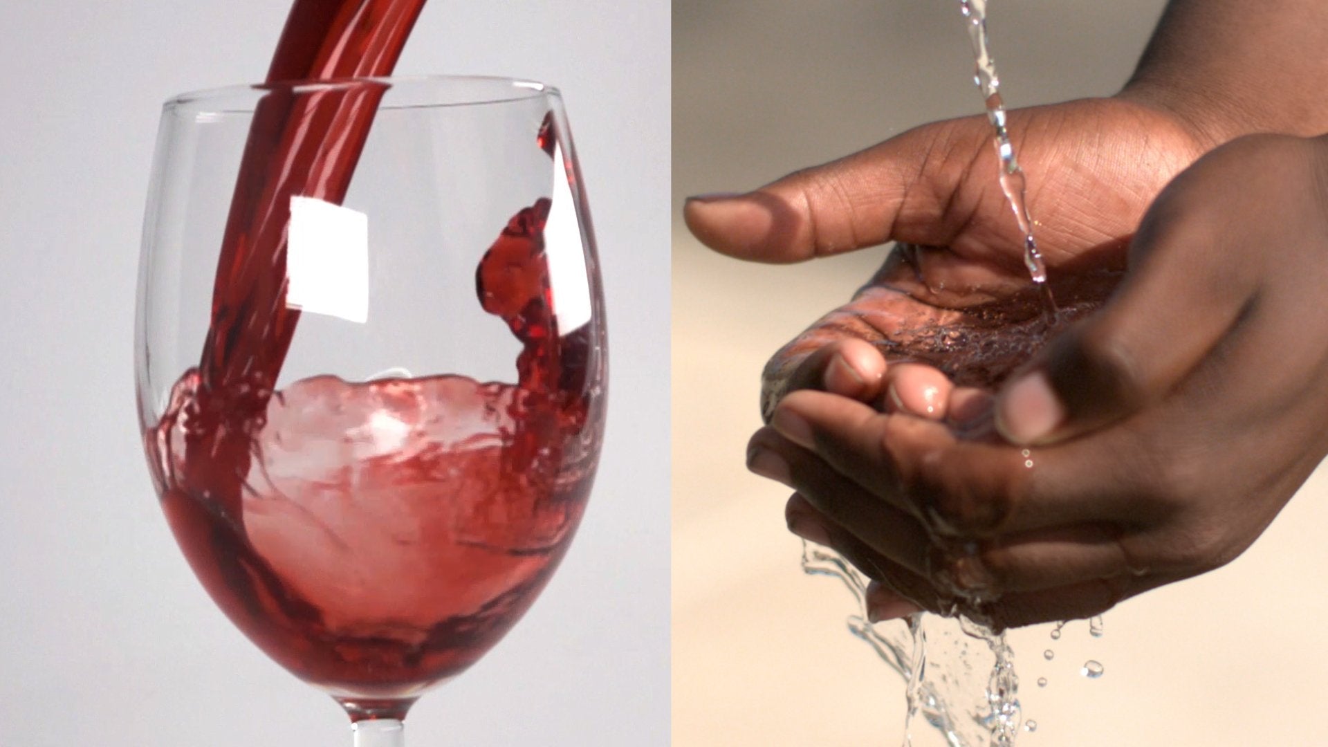 Wines – Little Ripples