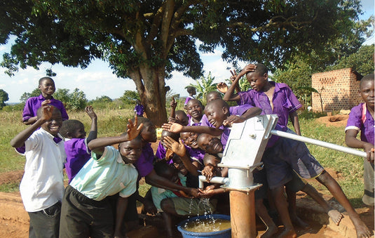 Winemaking – Little Ripples